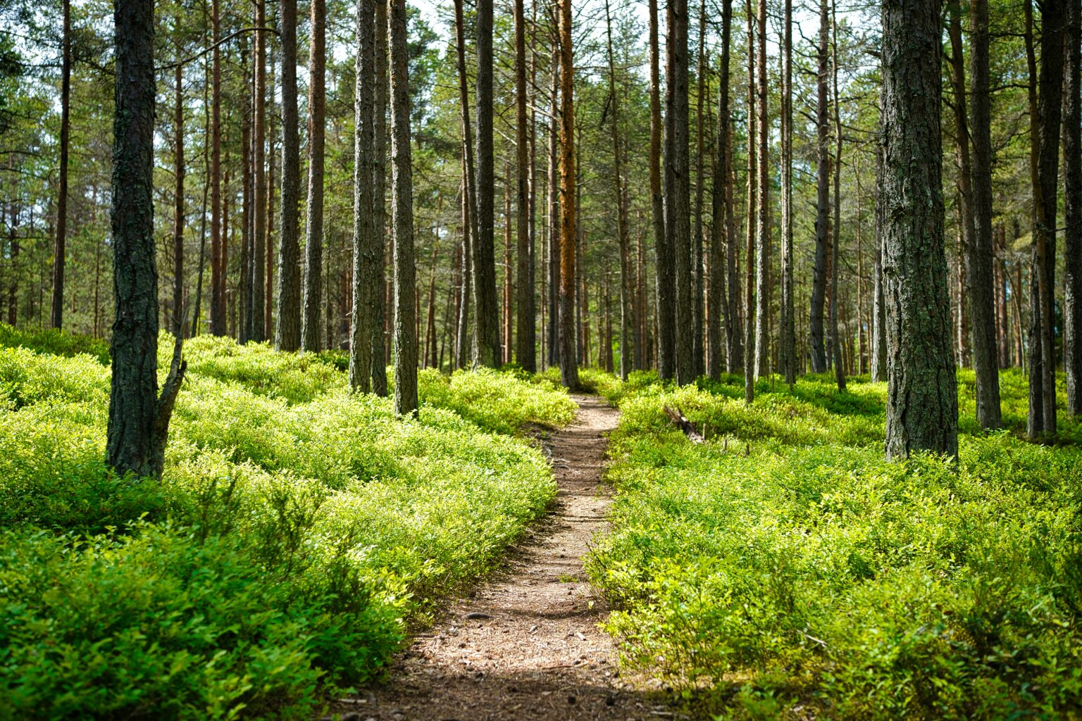 How to go on a sensory walk | Deafblind UK