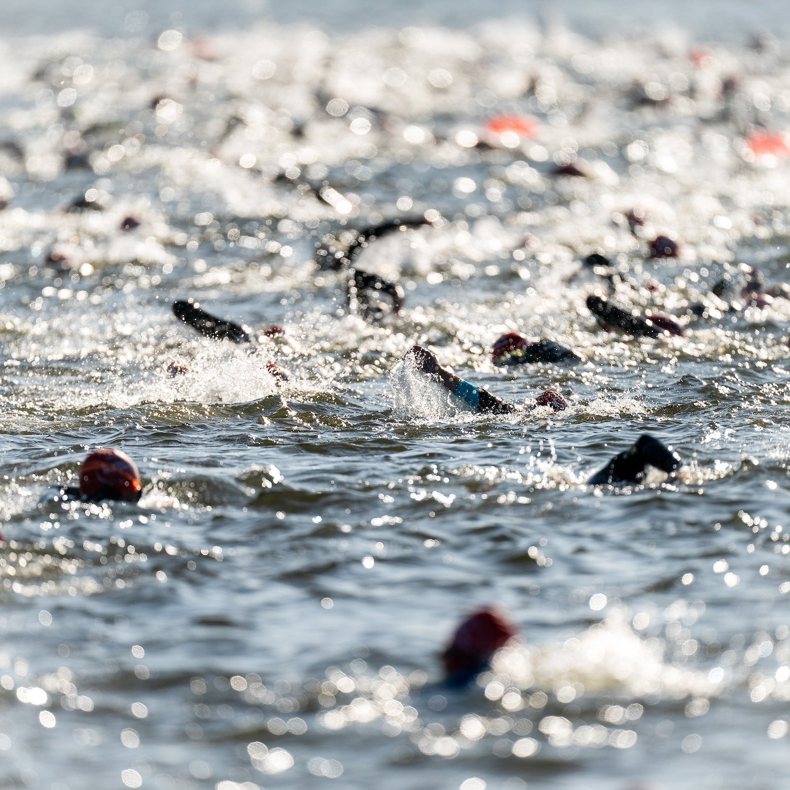 Swim | Deafblind UK